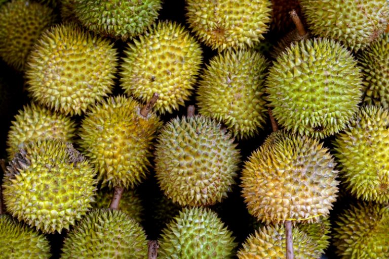 10 Different Types of Fruit That Starts With D - Things That Start With A-Z