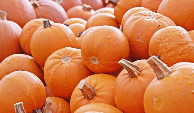 10 Different Types of Fruit That Starts With P - Things That Start With A-Z