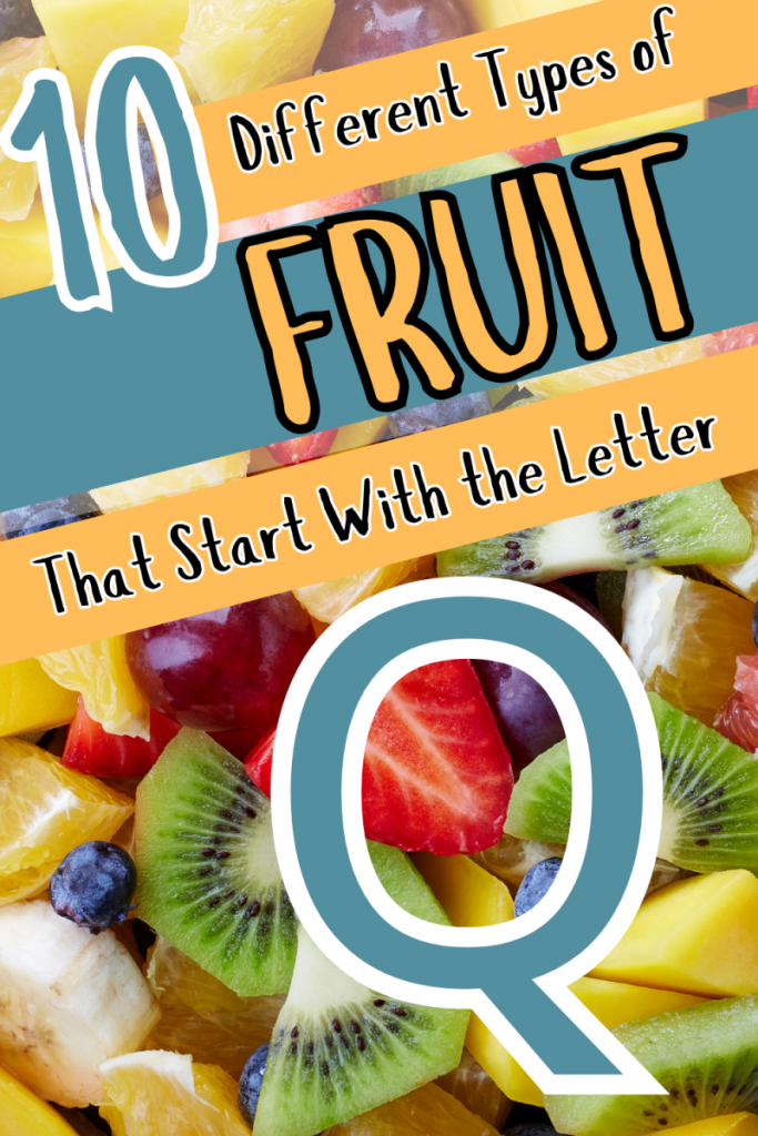 10 Different Types of Fruit That Starts With Q - Things That Start With A-Z