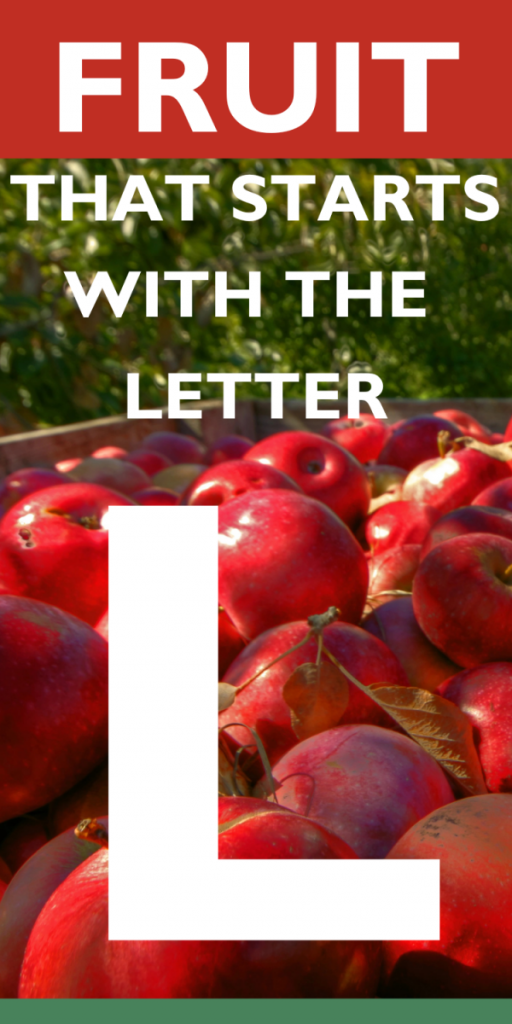 10 Different Types of Fruit That Starts With L - Things That Start With A-Z